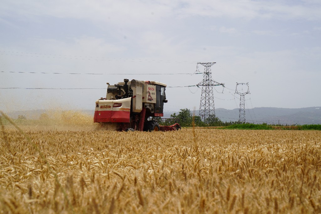 零口街道多措并举护航“三夏”保丰收_三秦网